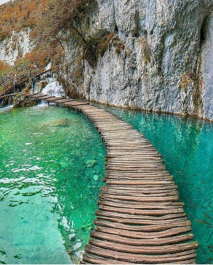 Thrive in Isolated Spaces. April 2020 – URBAN GYPZY