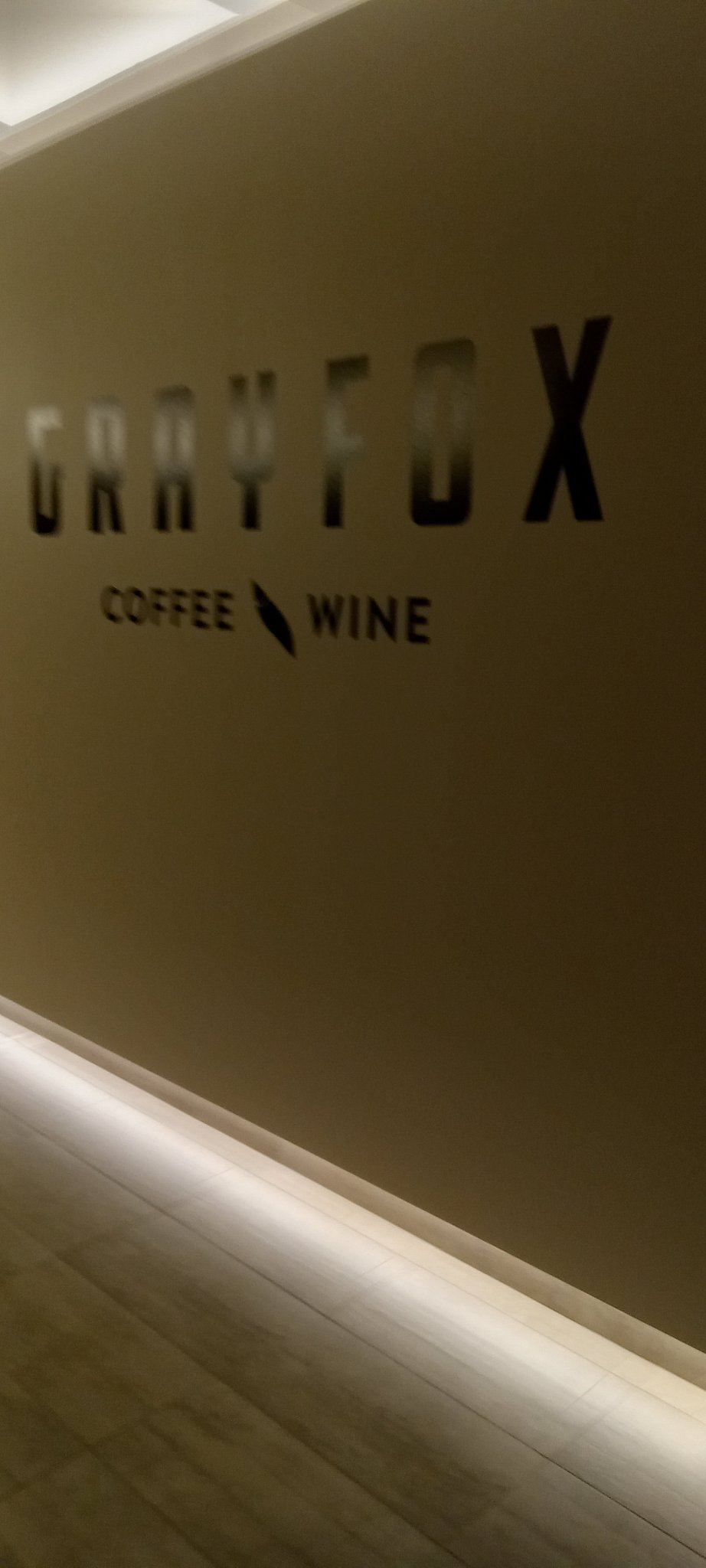 @Grey Fox @The Living Room, in the Historical Foshay, Mpls. – URBAN GYPZY